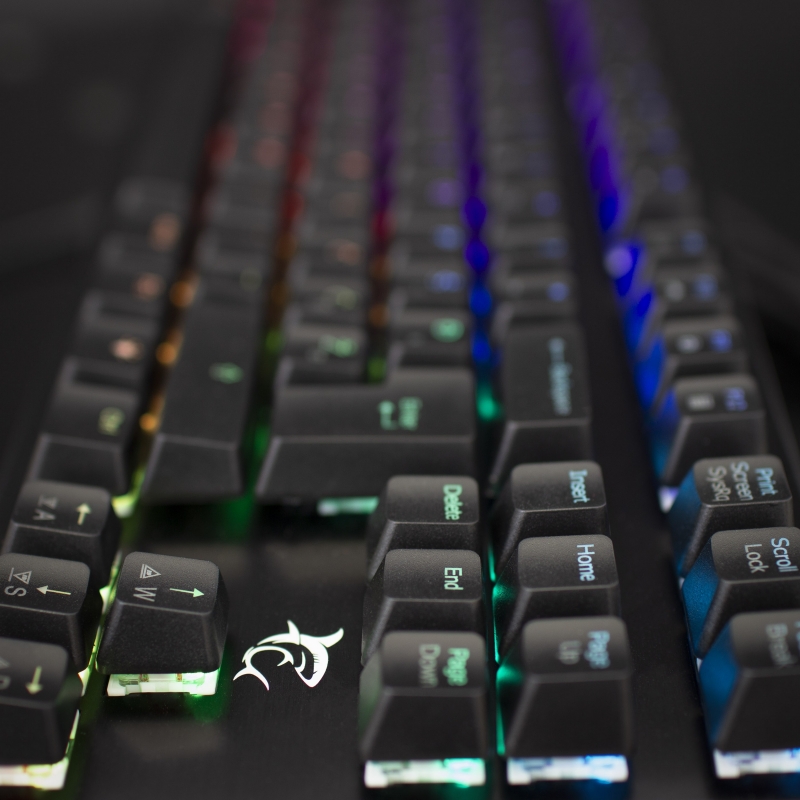Keyboards White Shark Gk-2101 Spartan X/us
